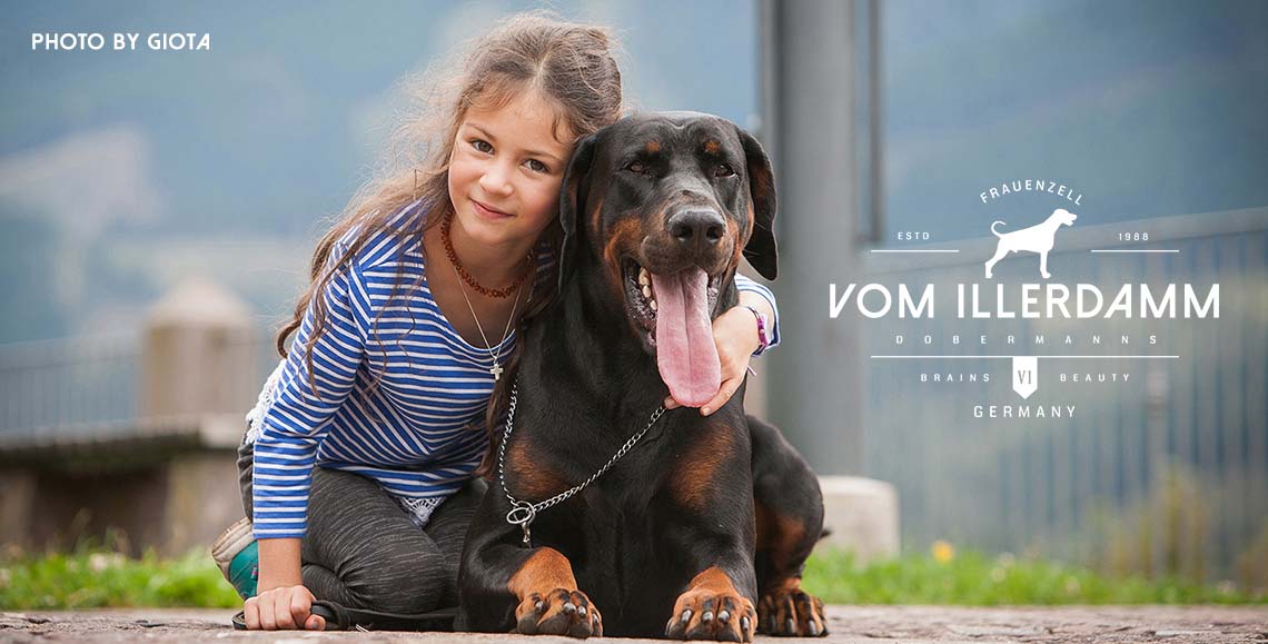 Vom Illerdamm Dobermann Kennel - Ethical Dobermann Breeder in Bavaria ...